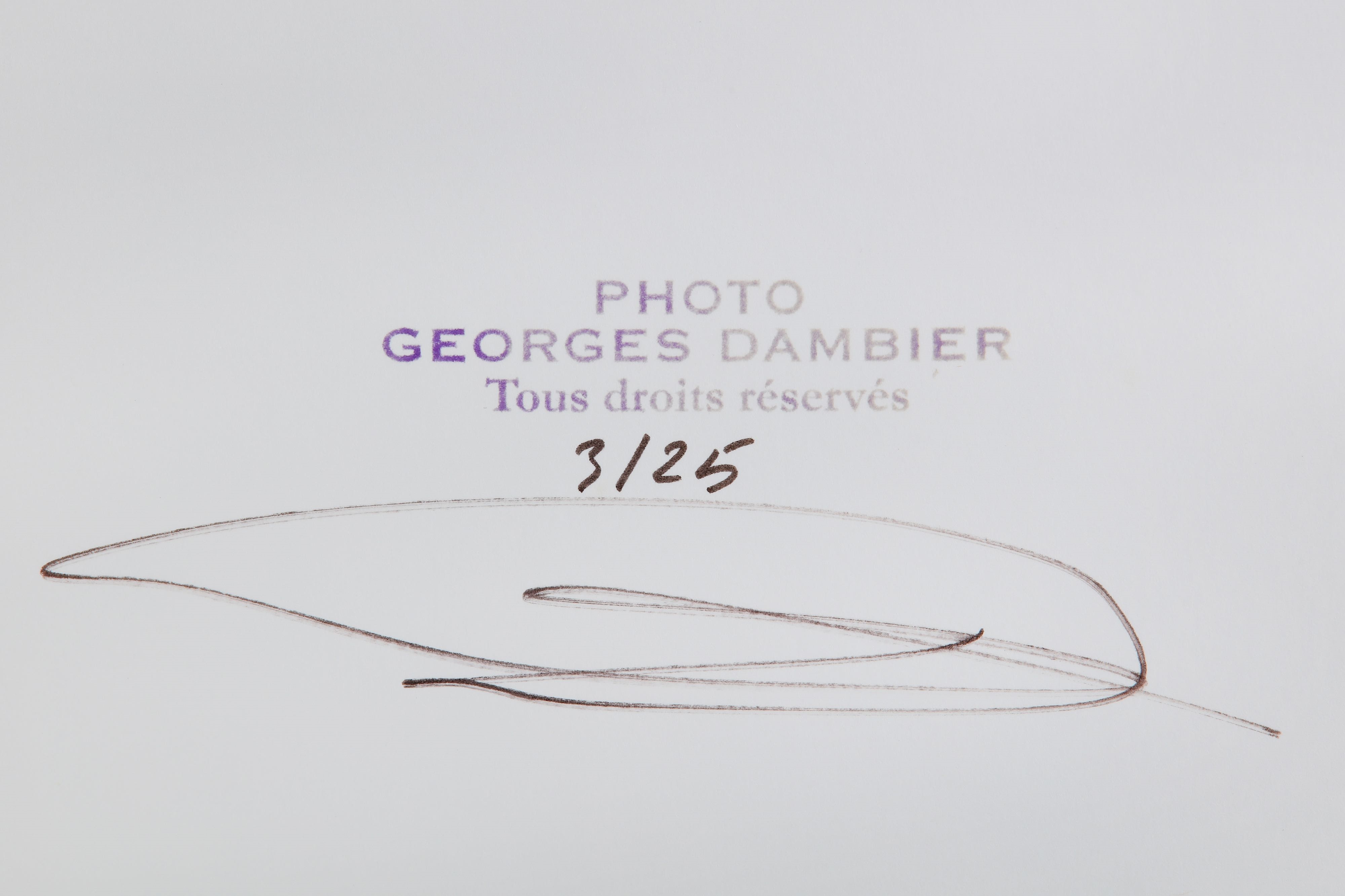 Georges Dambier | ELE | MutualArt