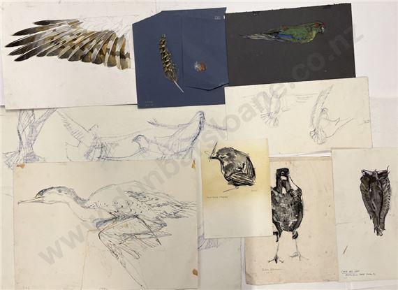 Susan Skerman | Susan Skerman - Quantity Unframed Sketches | MutualArt