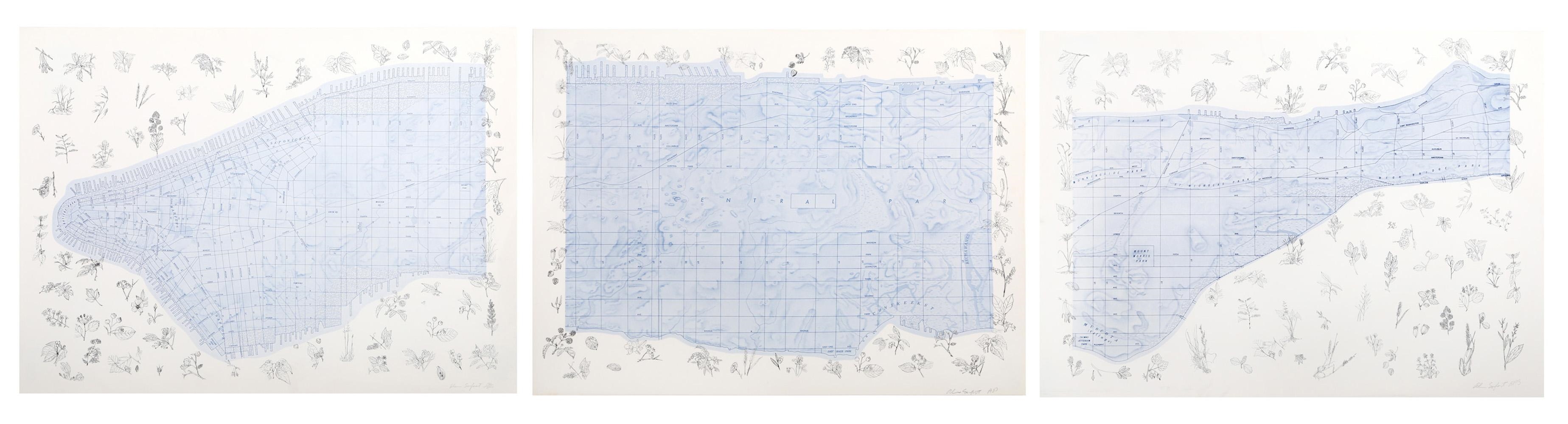 Alan Sonfist | MANHATTAN TRIPTYCH (1980) | MutualArt