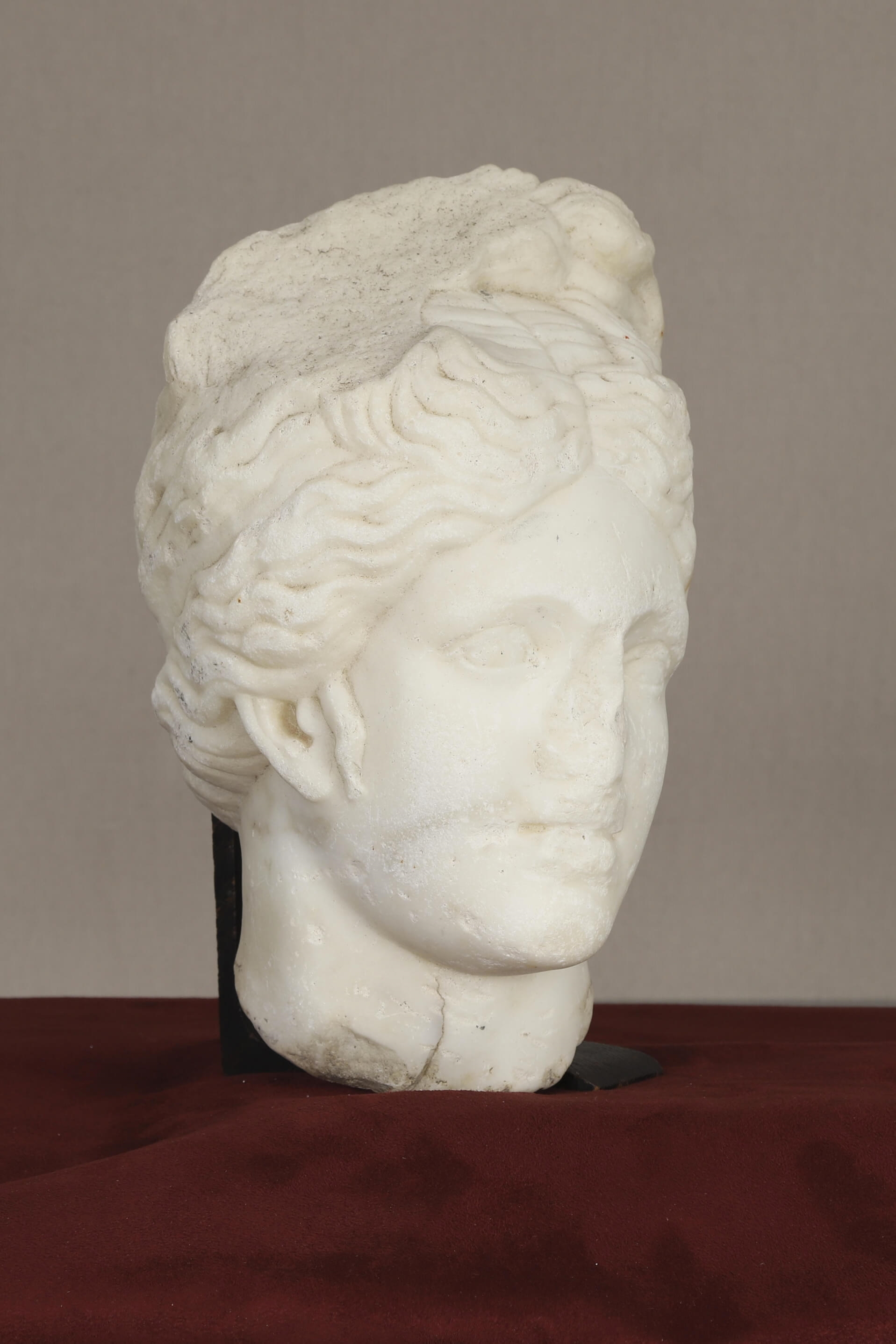 Roman School, 1st Century | Tête de Vénus | MutualArt