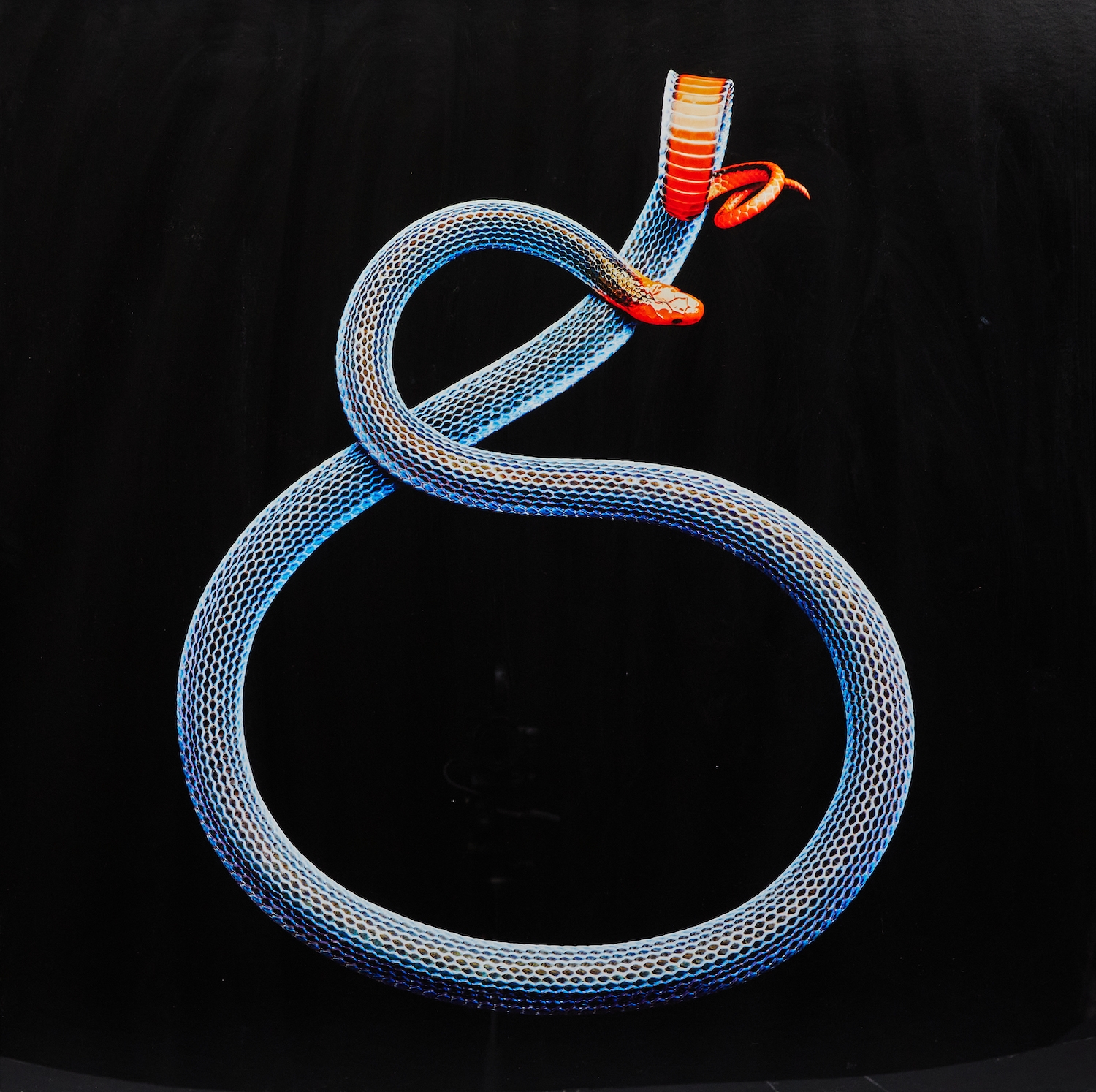 Mark Laita | MARK LAITA (2010) | MutualArt