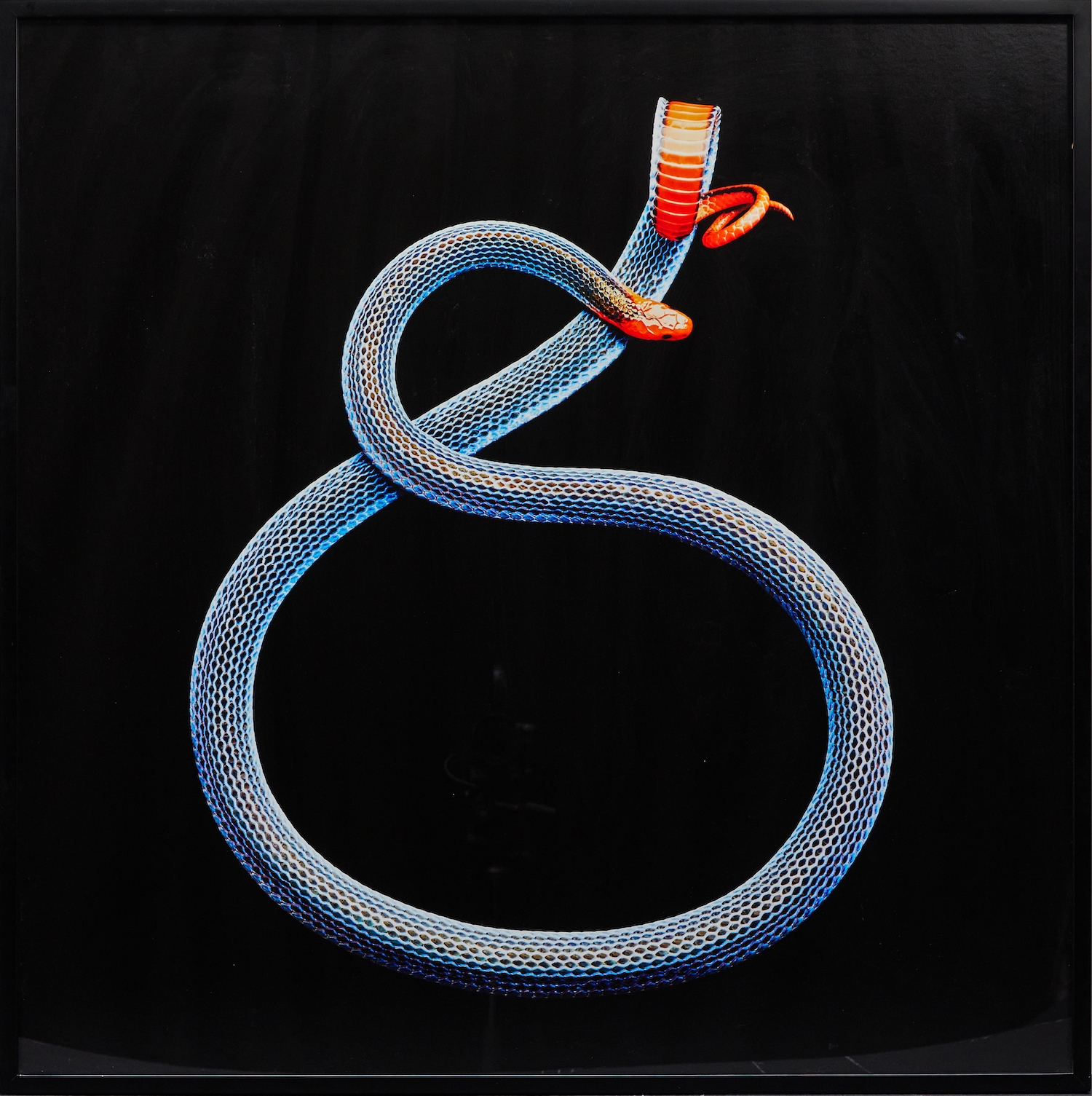 Mark Laita | MARK LAITA (2010) | MutualArt