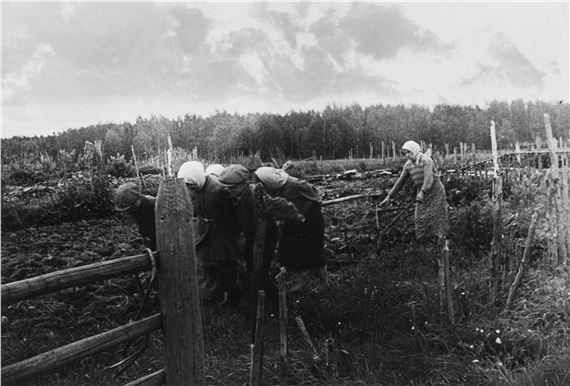 Mikhail Savin | Dopo la cacciata dei fascisti (1940s) | MutualArt