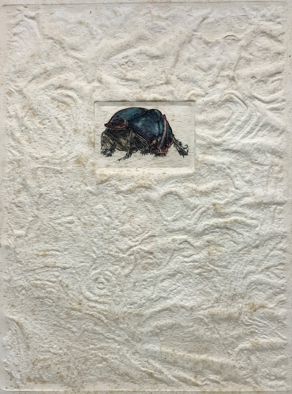 Rimer Cardillo | Escarabajo del Cusco | MutualArt