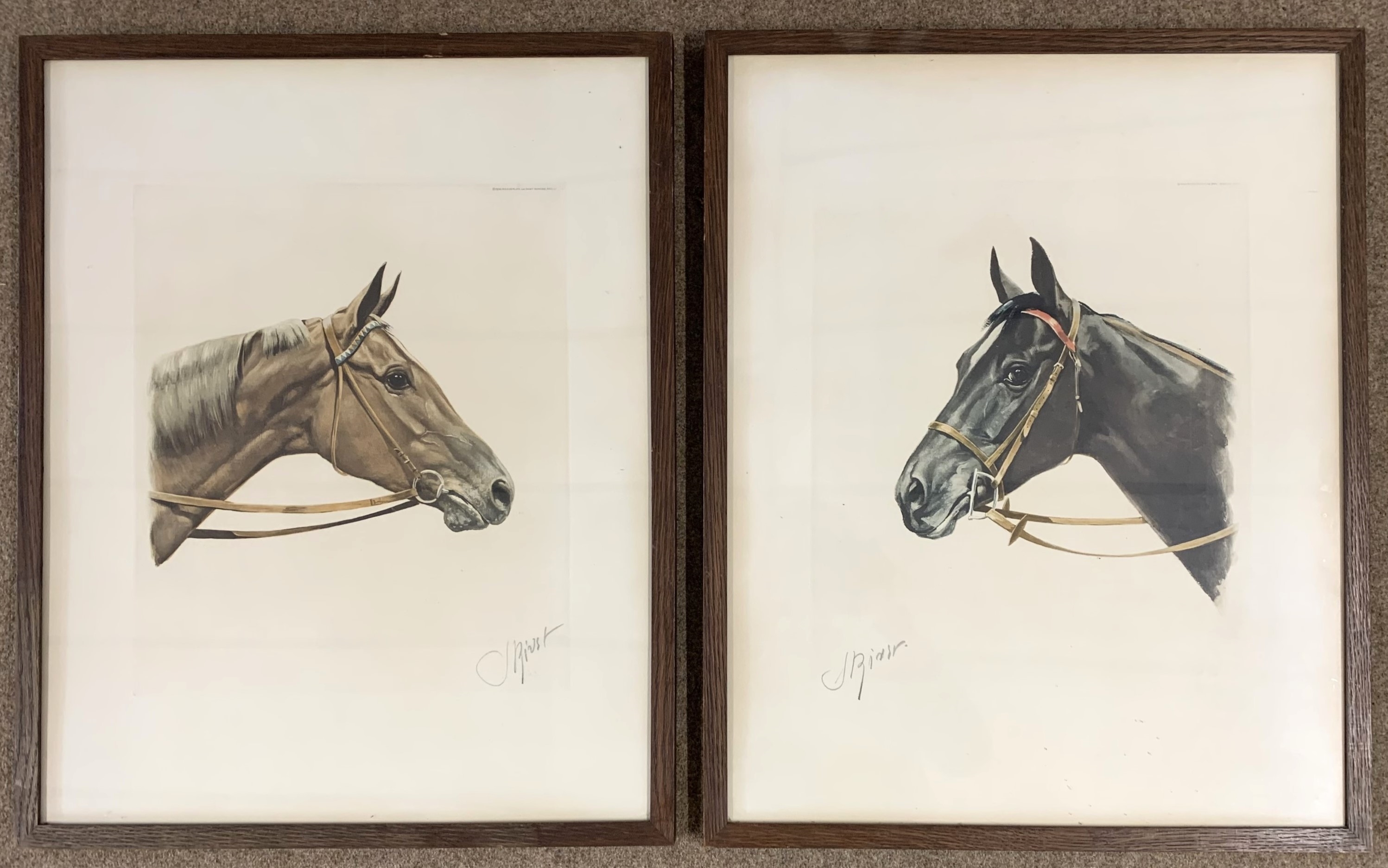 J. Rivet | A pair of horse head portraits | MutualArt