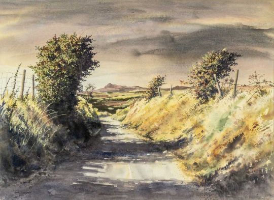 Jan Gregson | Pembrokeshire country lane | MutualArt