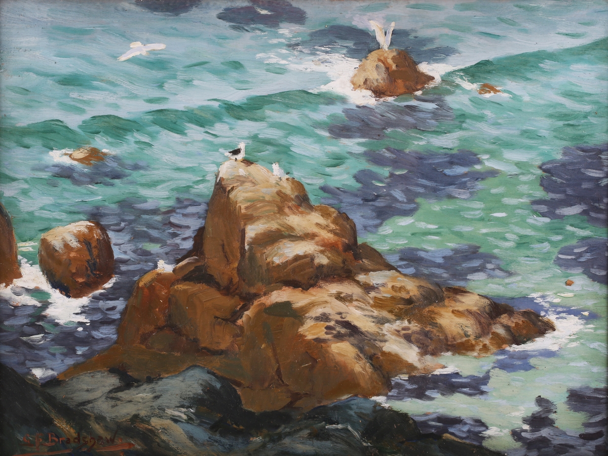 George Fagan Bradshaw | Seabirds on a Rocky Coast (20th Century ...