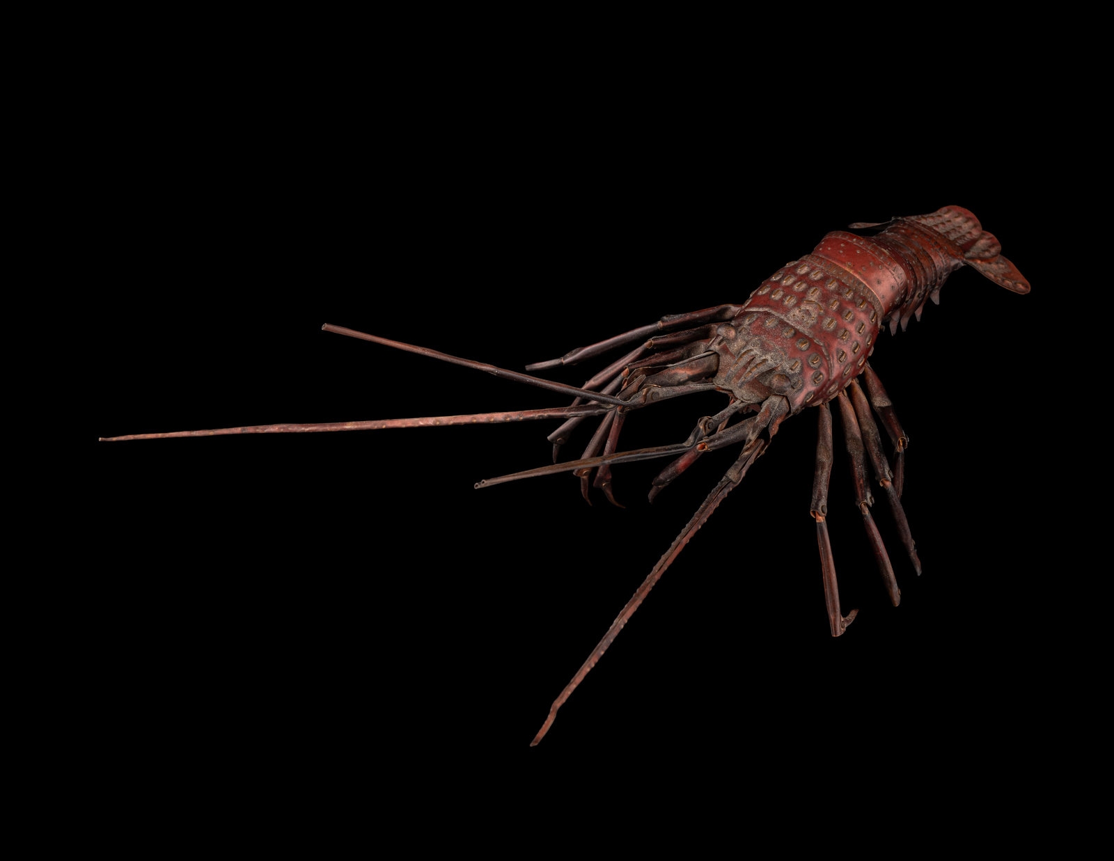 Japanese School | A Japanese Copper Articulated Model of a Crayfish ...
