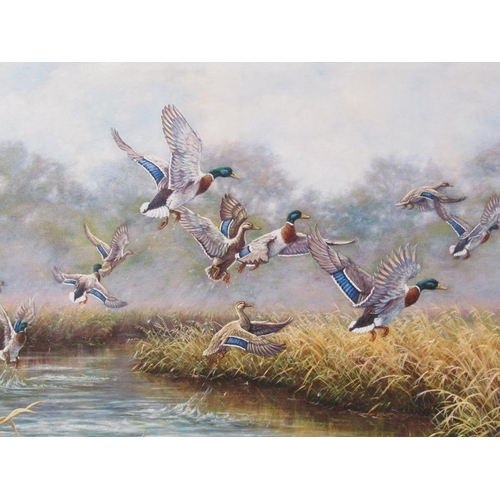 Kim Brooks | Kim Brooks - Mallard ducks rising | MutualArt