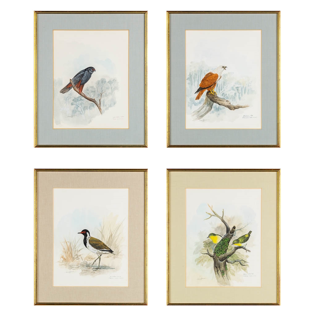 Gamini P. Ratnavira | Birds | MutualArt