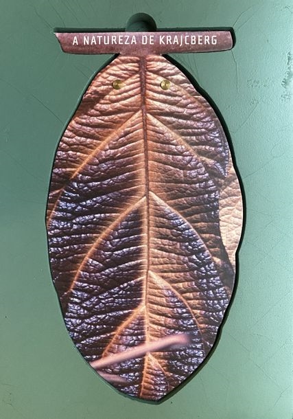 Frans Krajcberg | A natureza de KRAJCBERG (2005) | MutualArt