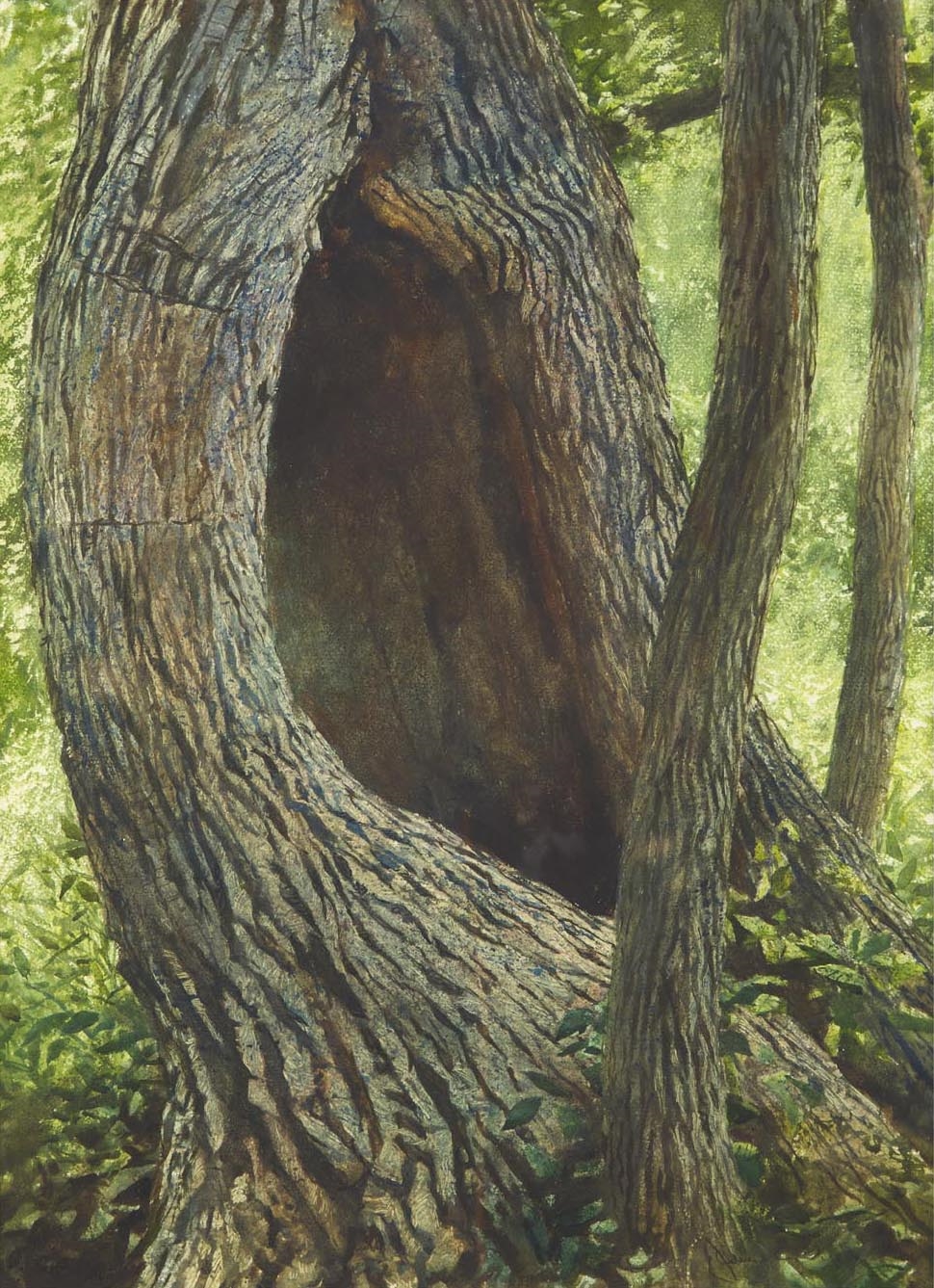 Jamie Wyeth | ORCA BATES (1990) | MutualArt