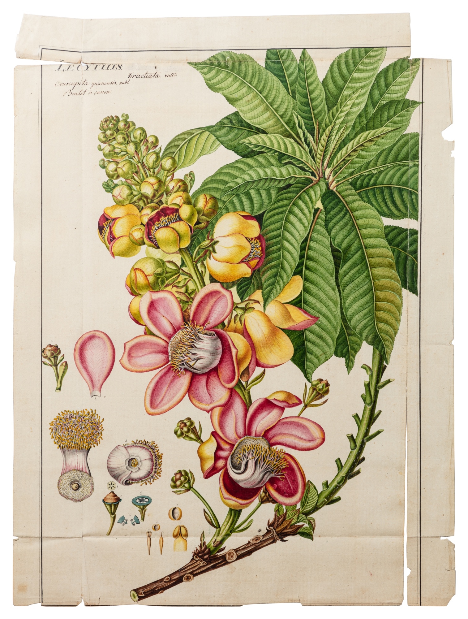 Pierre Antoine Poiteau | Album de dessins originaux . | MutualArt