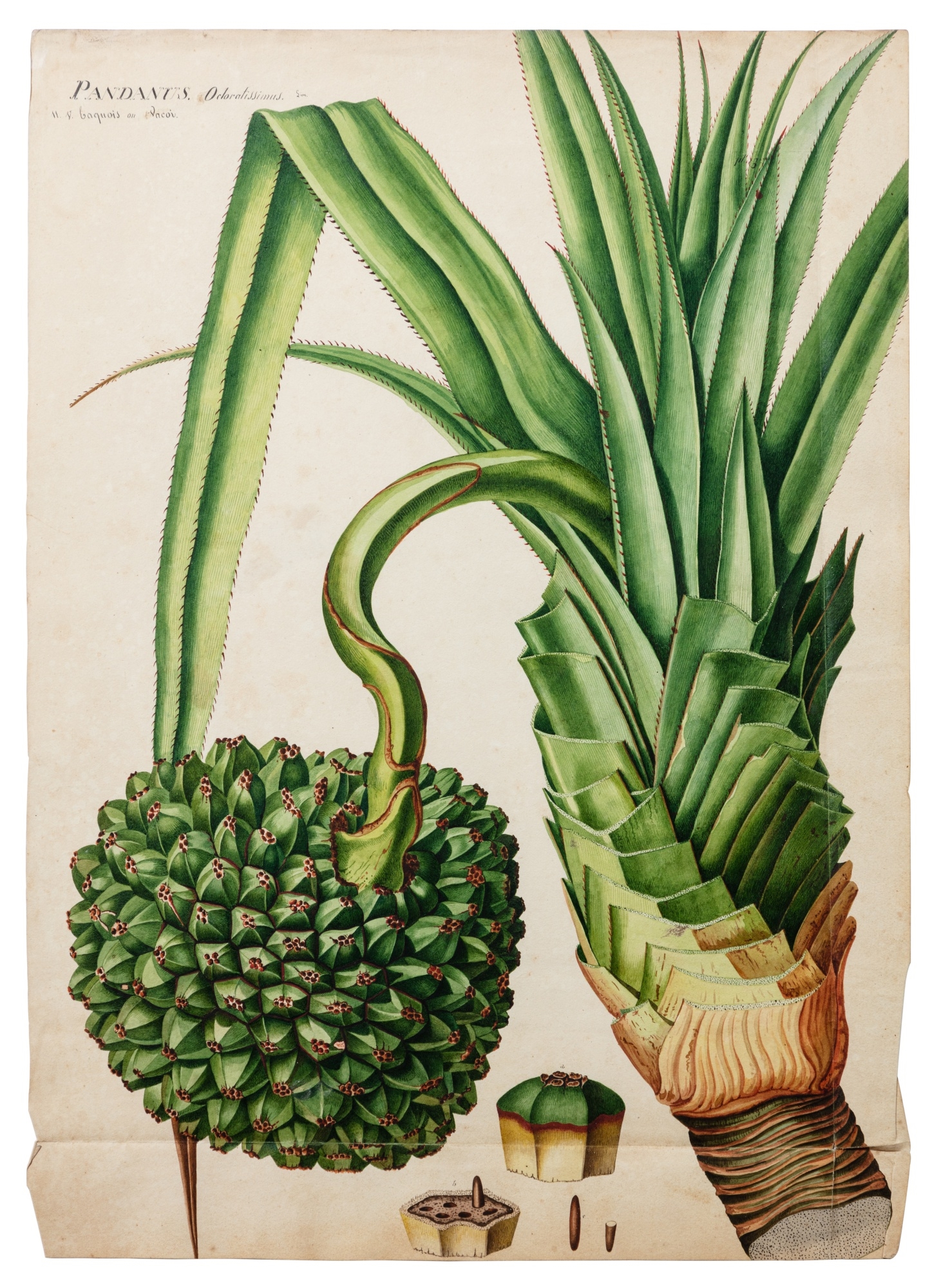 Pierre Antoine Poiteau | Album de dessins originaux . | MutualArt