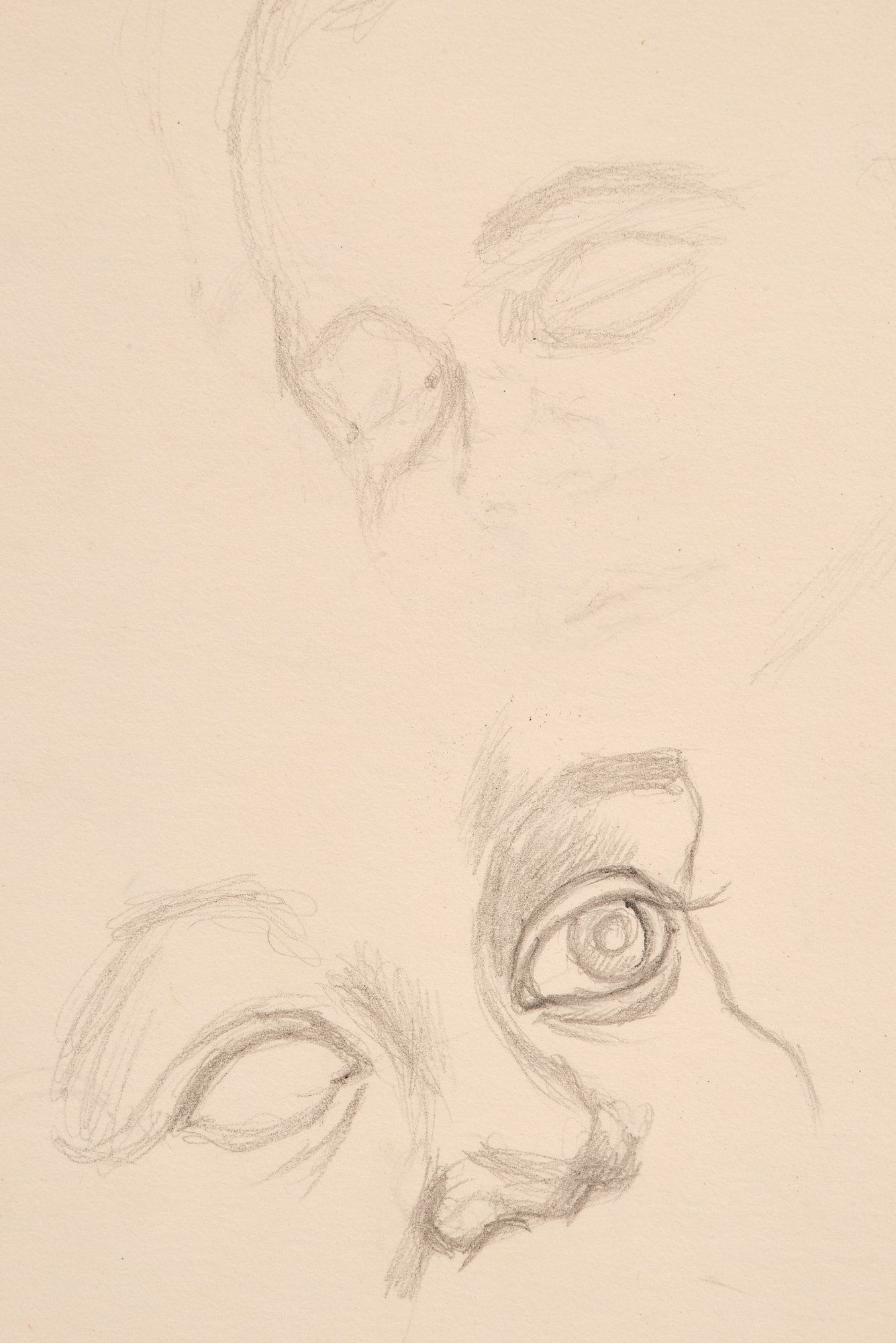 Thomas Hart Benton‏ | Sketches of Anthony Benton Gude (Circa 1964 ...