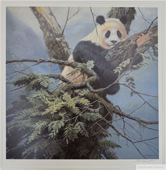 John Seerey-Lester | Qinling Panda (1995) | MutualArt