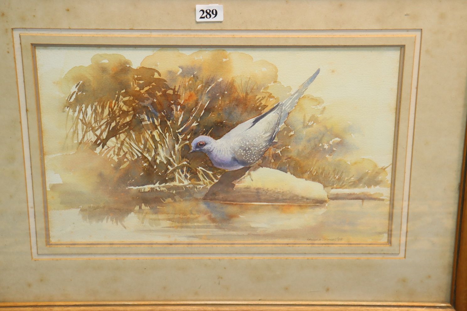 Harold Thomas | HAROLD THOMAS | MutualArt