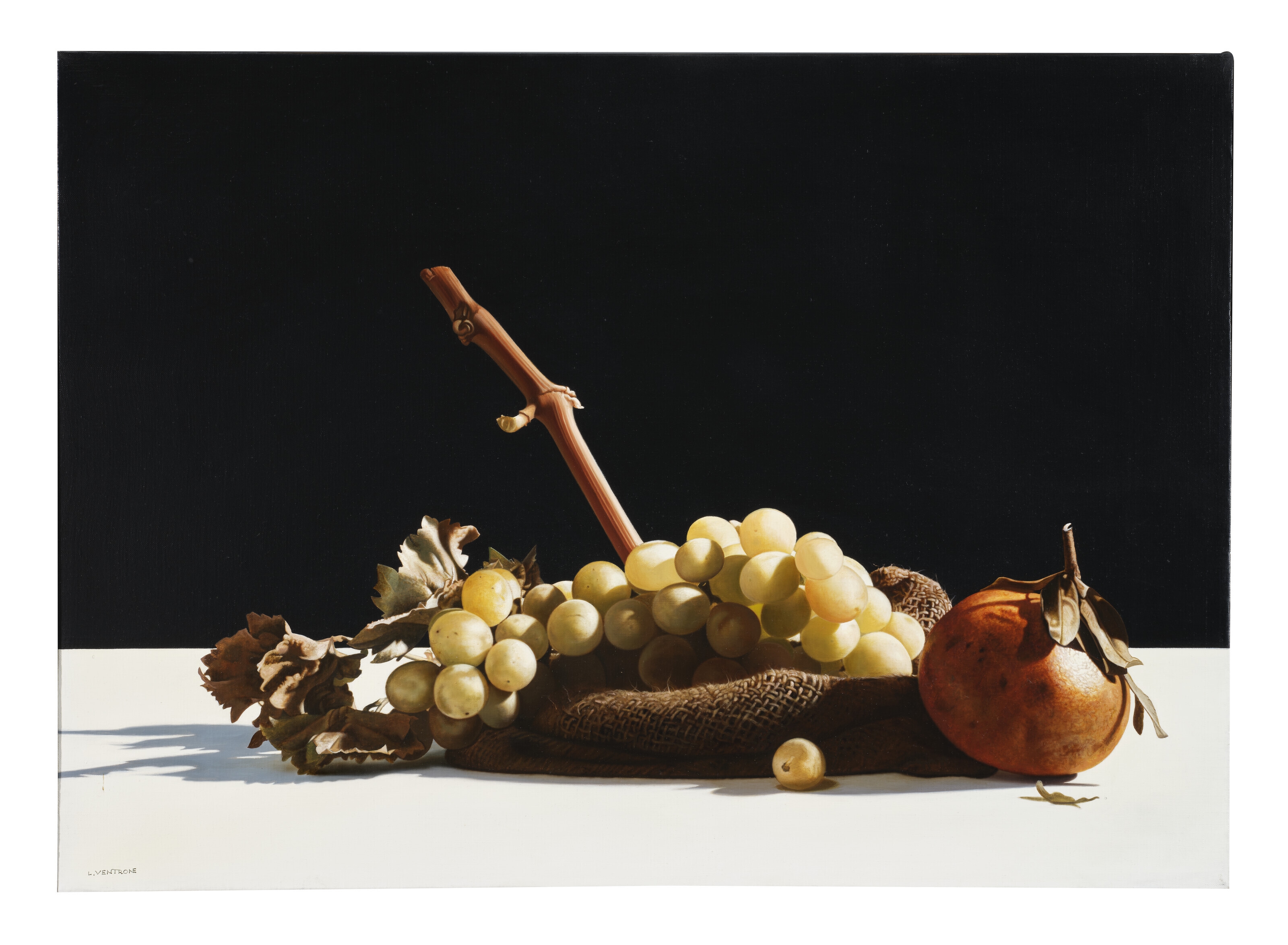 Luciano Ventrone | Natura morta (1989) | MutualArt