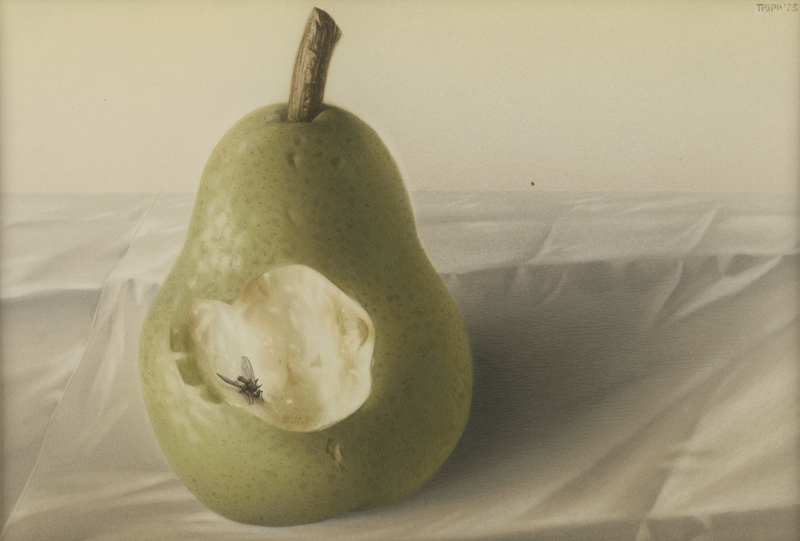 Jan Peter Tripp | Birne (1973) | MutualArt
