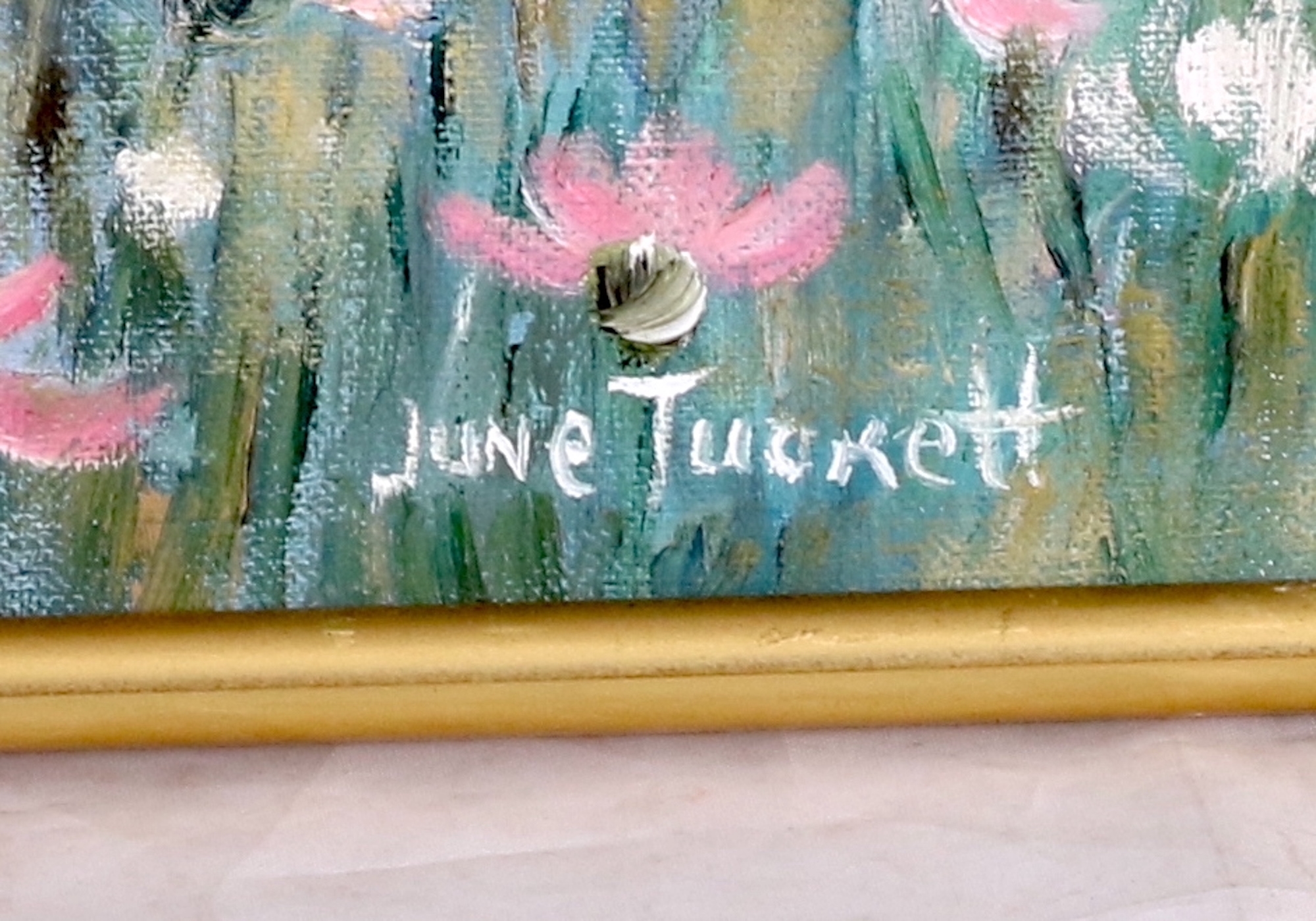 June Tuckett | COSMOS IN THE FIELD | MutualArt