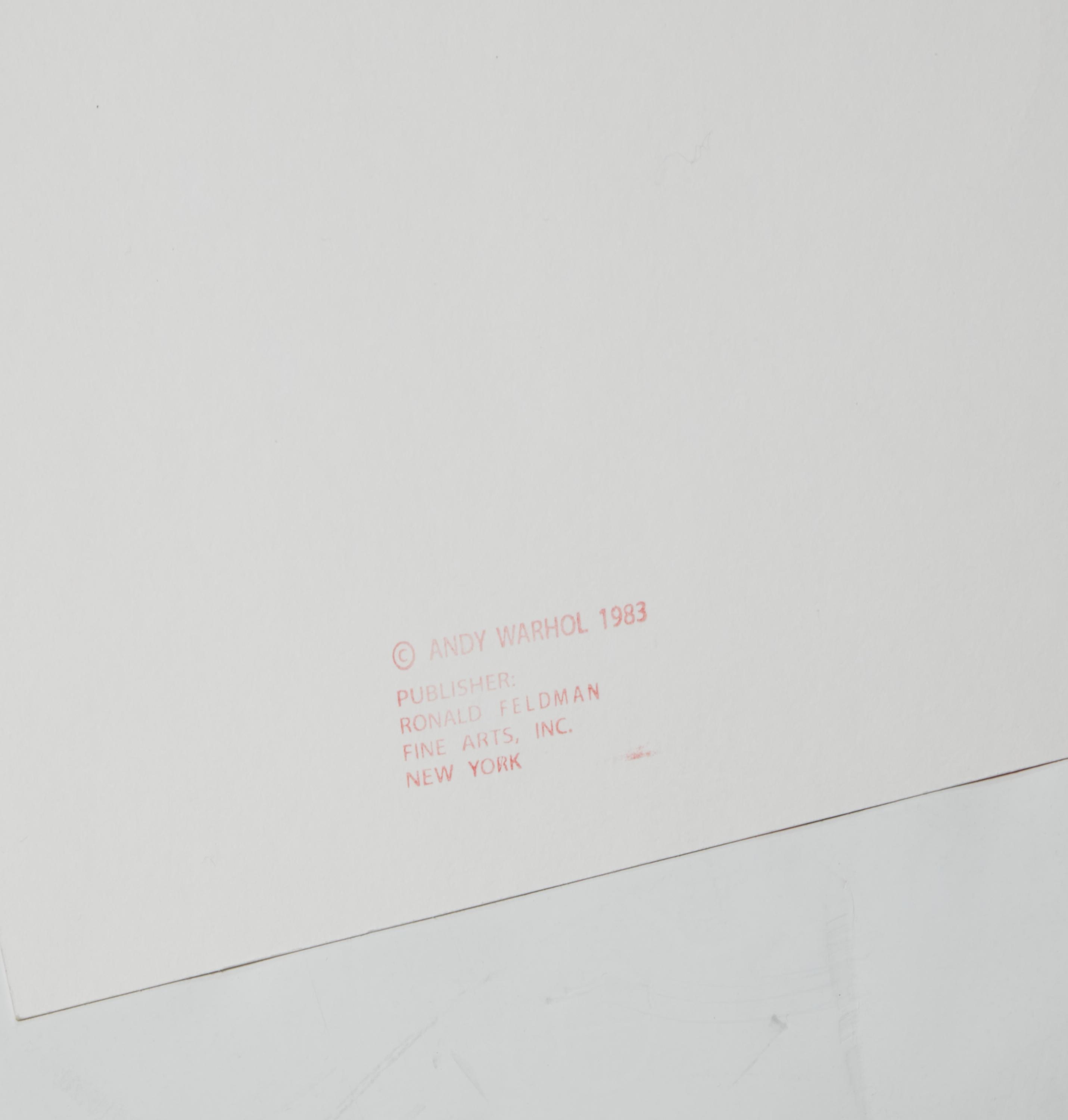 Andy Warhol | Grevy's Zebra, from the Endangered Species, 1983 (F. & S ...