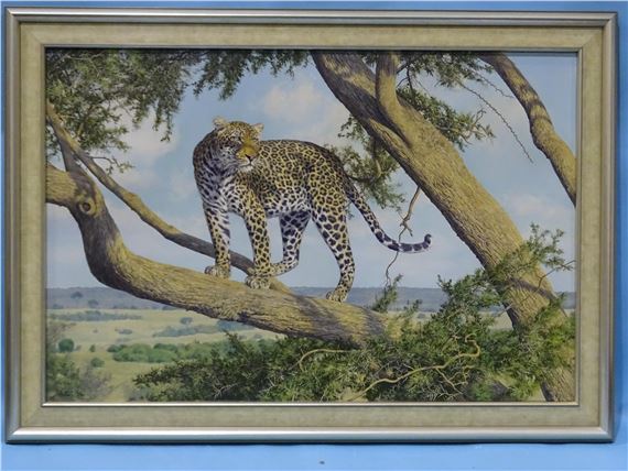 Anthony Gibbs | MARA LOOKOUT | MutualArt