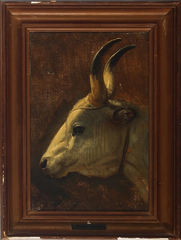 Ernst Ahron Meyer | Studie of a cattle | MutualArt