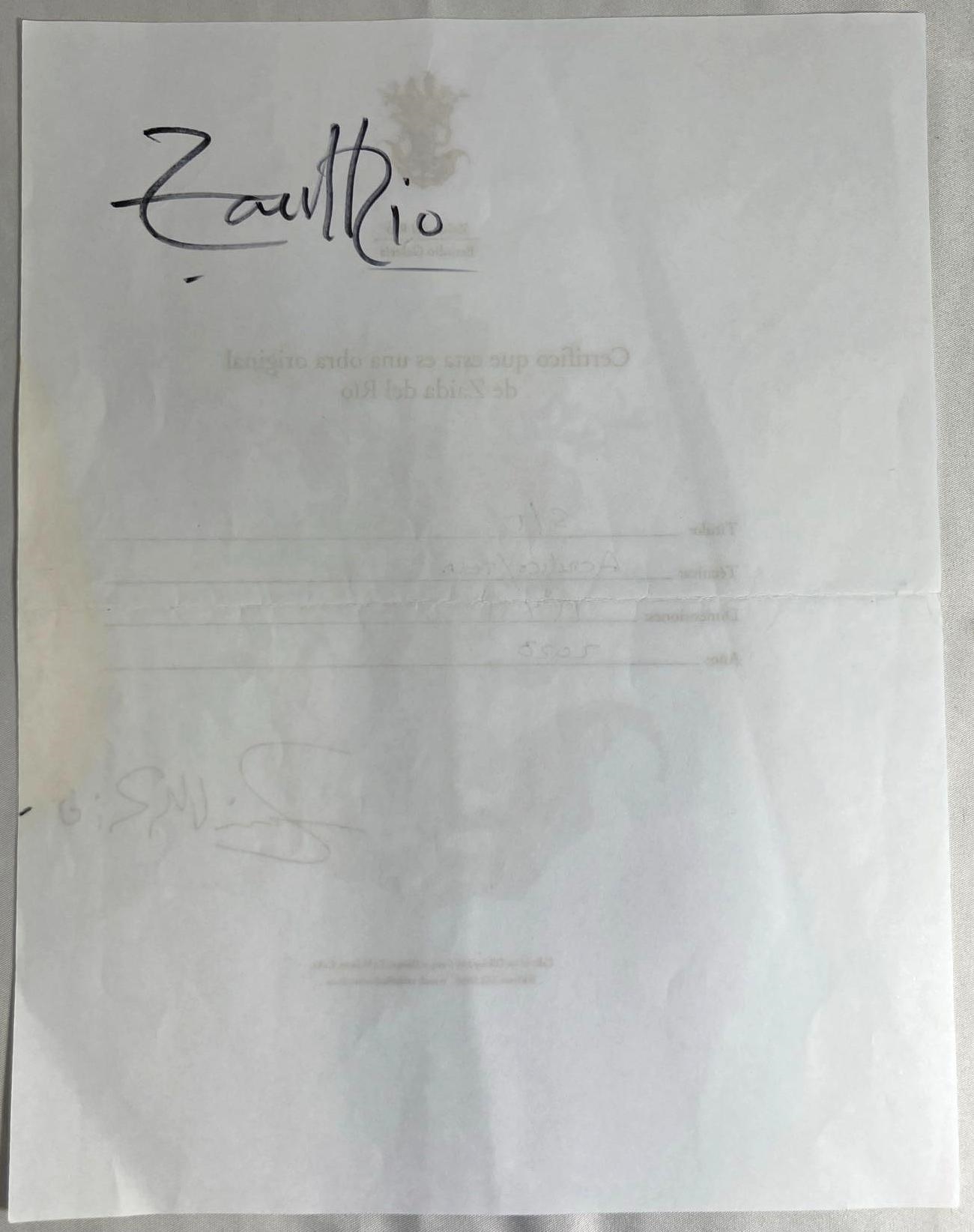 Zaida del Rio | Zaida DEL RIO (1954) Cuban Acrylic on Canvas signed and ...