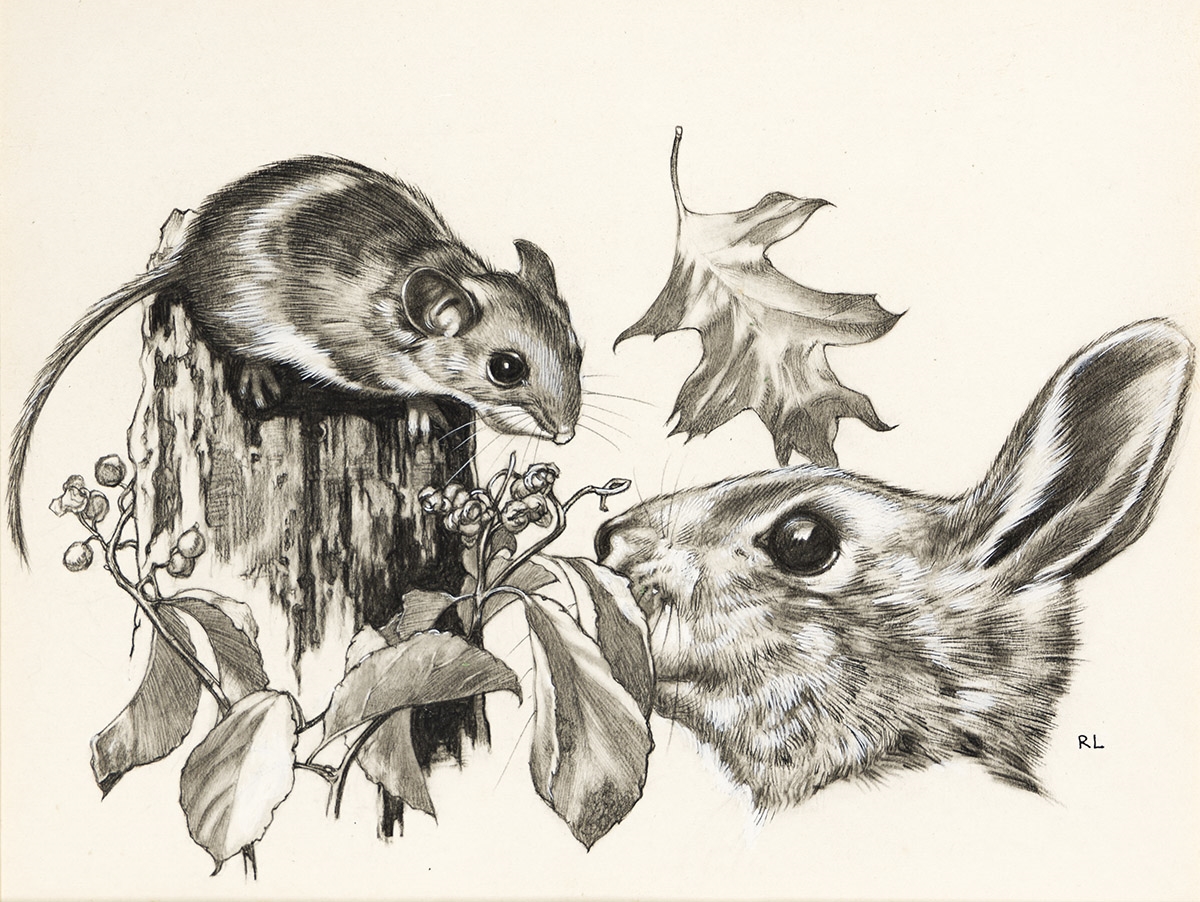 Robert Lawson | Willie Fieldmouse and Little Georgie. | MutualArt