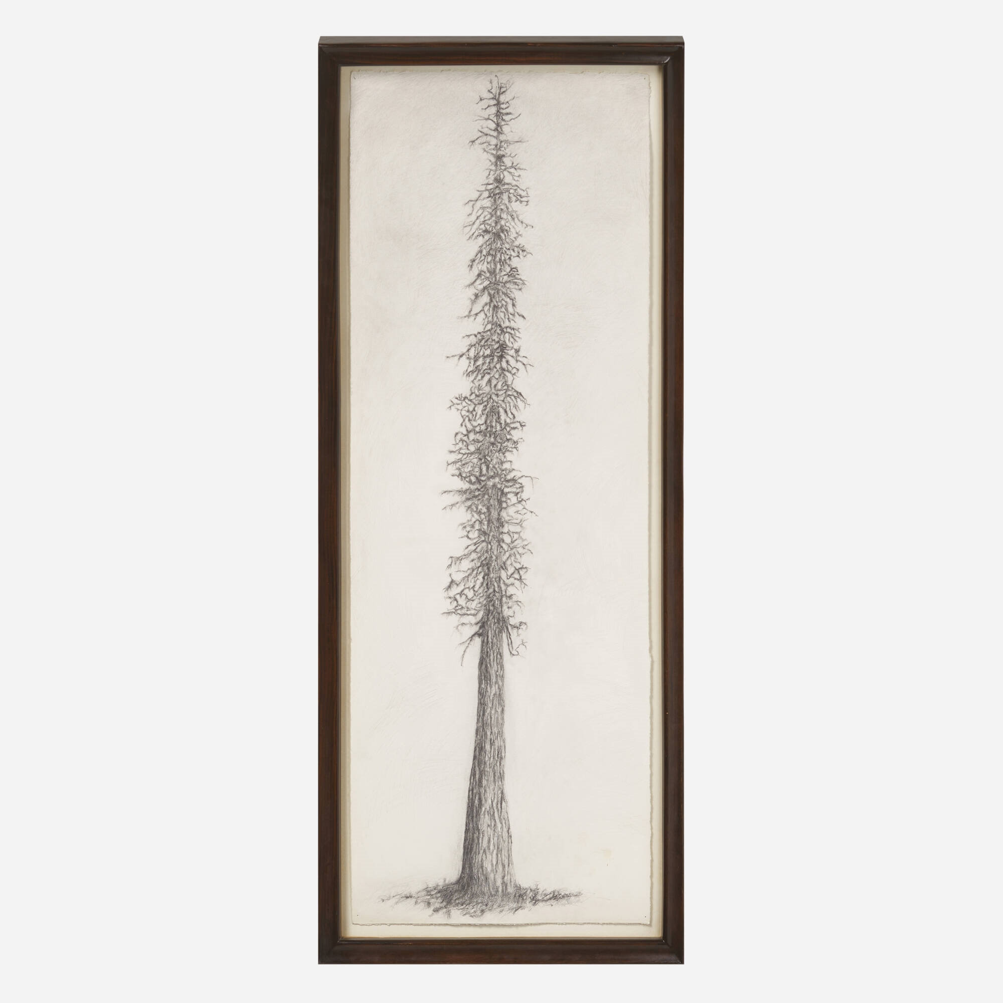 Tim Hawkinson | Bent Tree (1988) | MutualArt