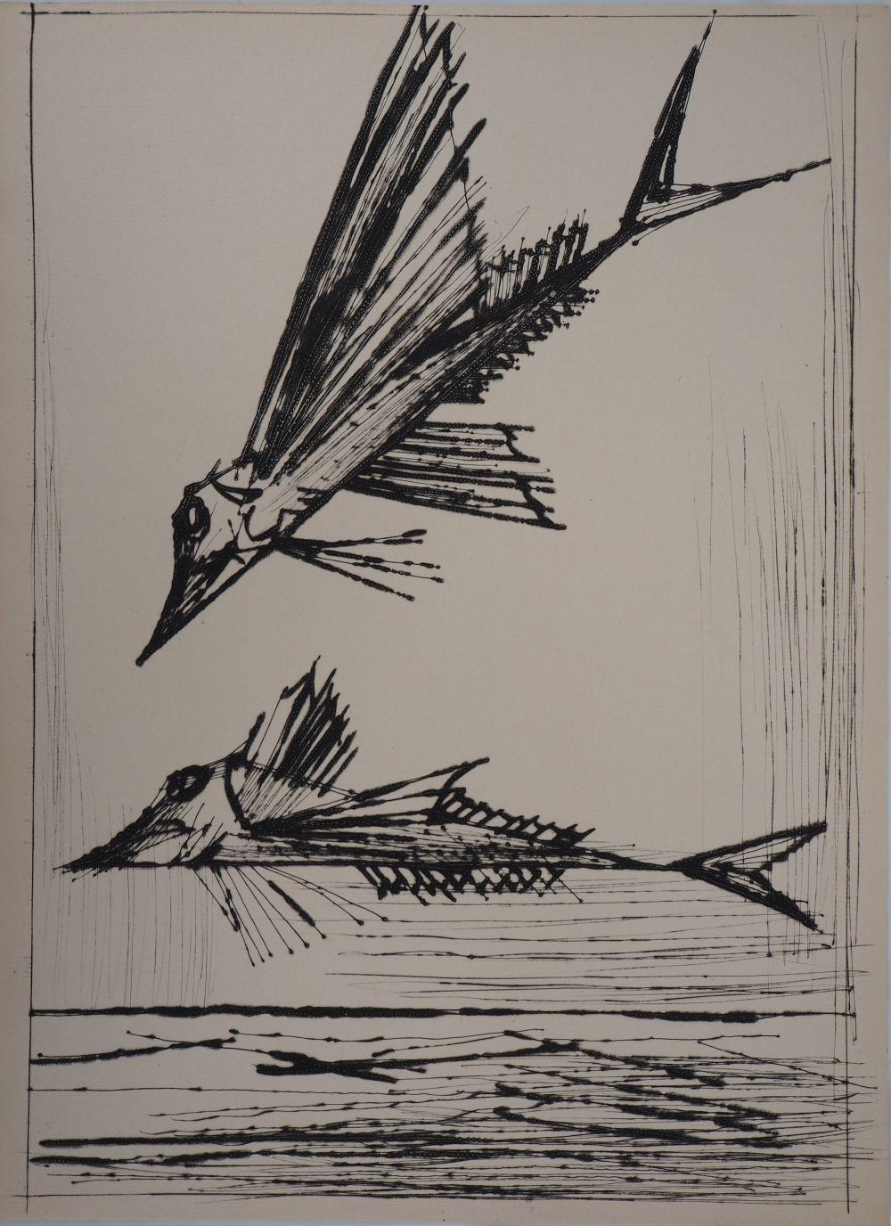Bernard Buffet | Flying fish (1959) | MutualArt