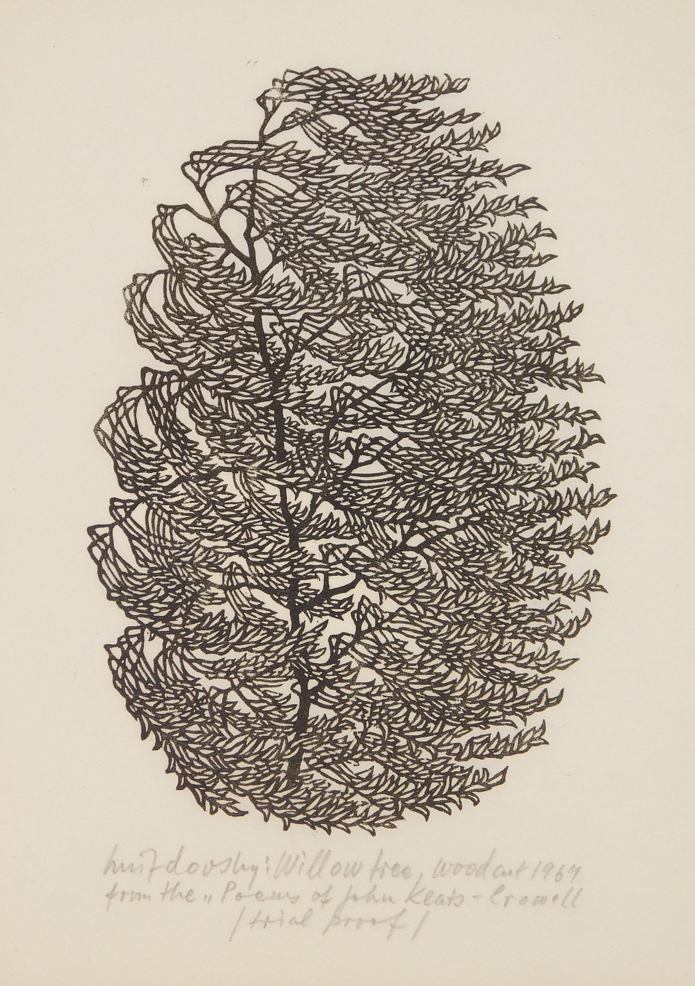 Jacques Hnizdovsky | Willow (Tahir 51) | MutualArt