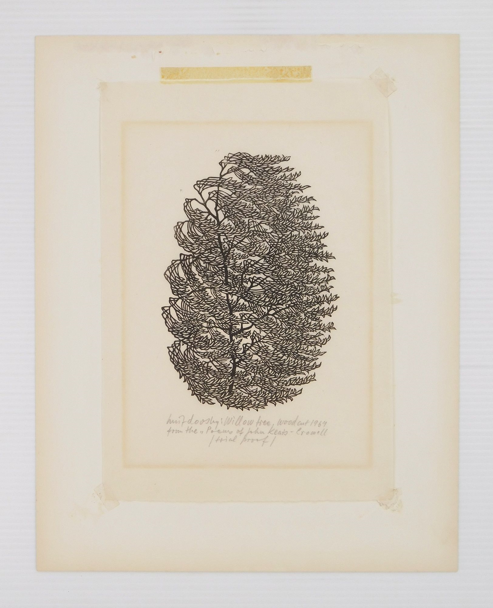 Jacques Hnizdovsky | Willow (Tahir 51) | MutualArt