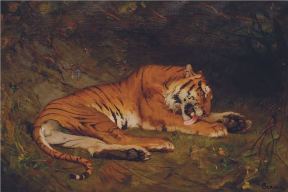 Gustave Surand | Tiger licking its paw | MutualArt