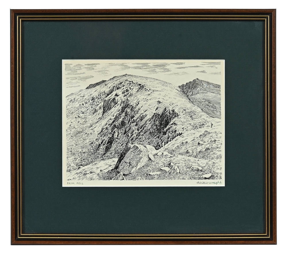 Alfred Wainwright | Brim Fell | MutualArt