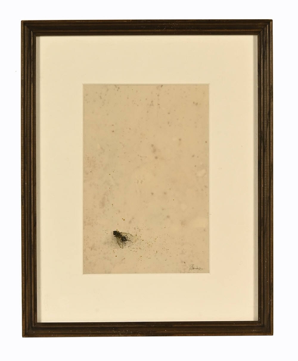 Rose Sanderson | Honeybee III | MutualArt