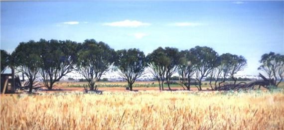 Jeff Rigby | Lake Bed with Mulga Tree | MutualArt