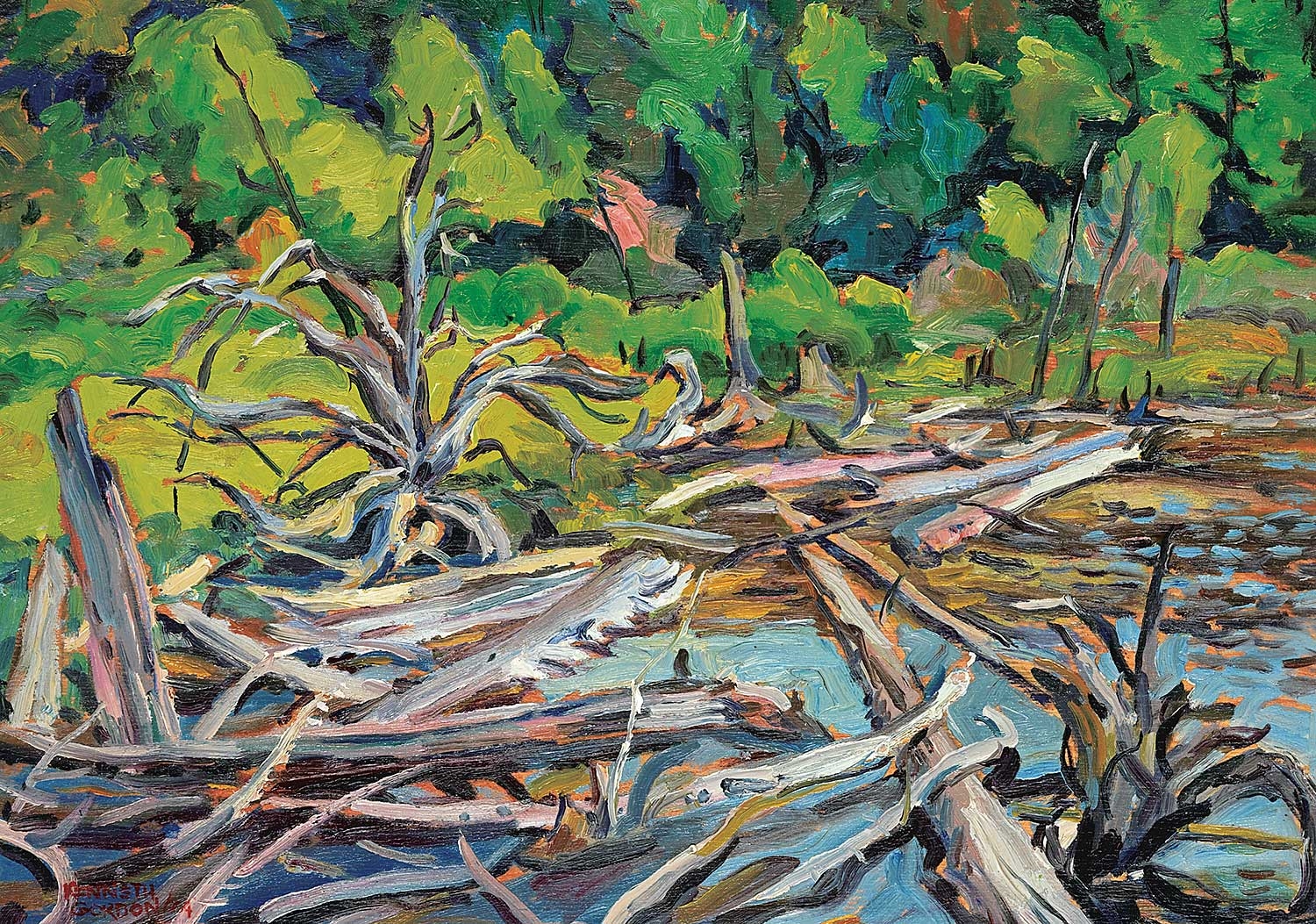 Kenneth Gordon | Dead Cedar / Big Porcupine Algonquin (1974) | MutualArt