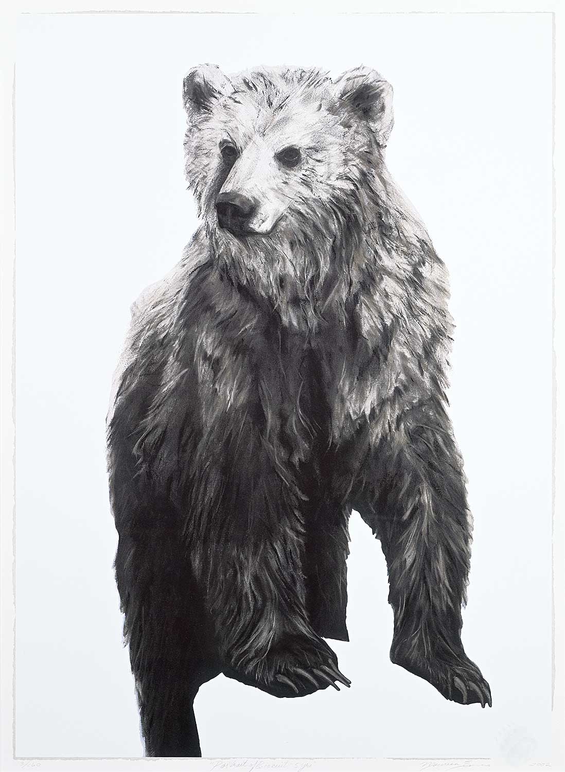 Maureen Enns | Portrait of Biscuit - 5 yrs #3/160 (2002) | MutualArt