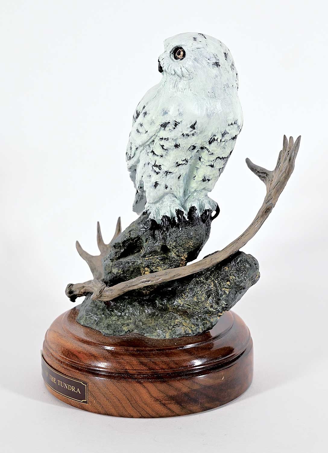Don Toney | Ghost of the Tundra #13/40 (1993) | MutualArt