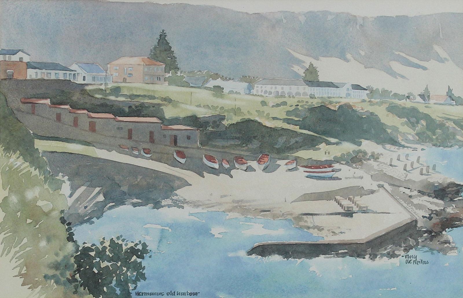 Tony De Freitas | HERMANUS OLD HARBOUR | MutualArt
