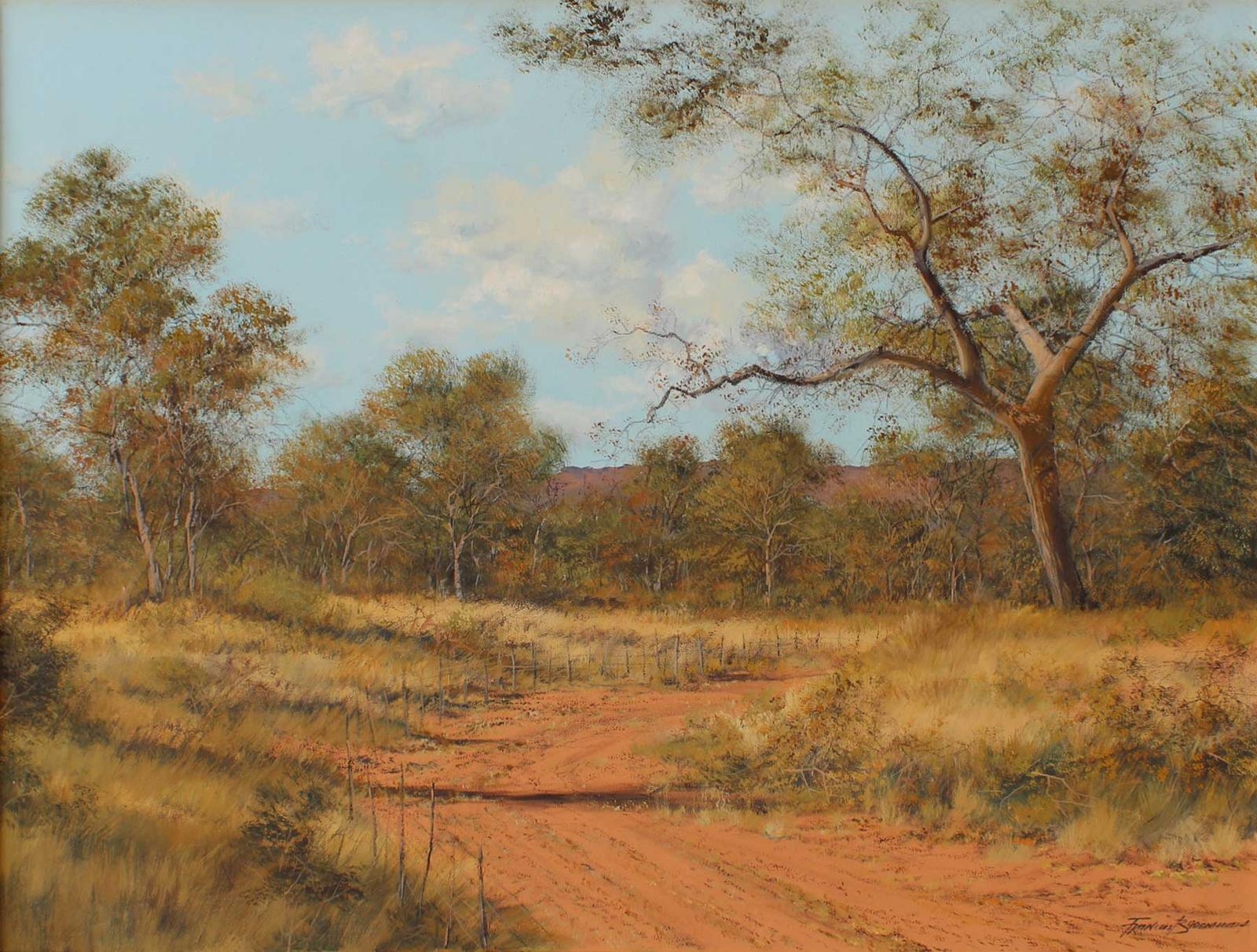 Francois Badenhorst | BUSHVELD | MutualArt