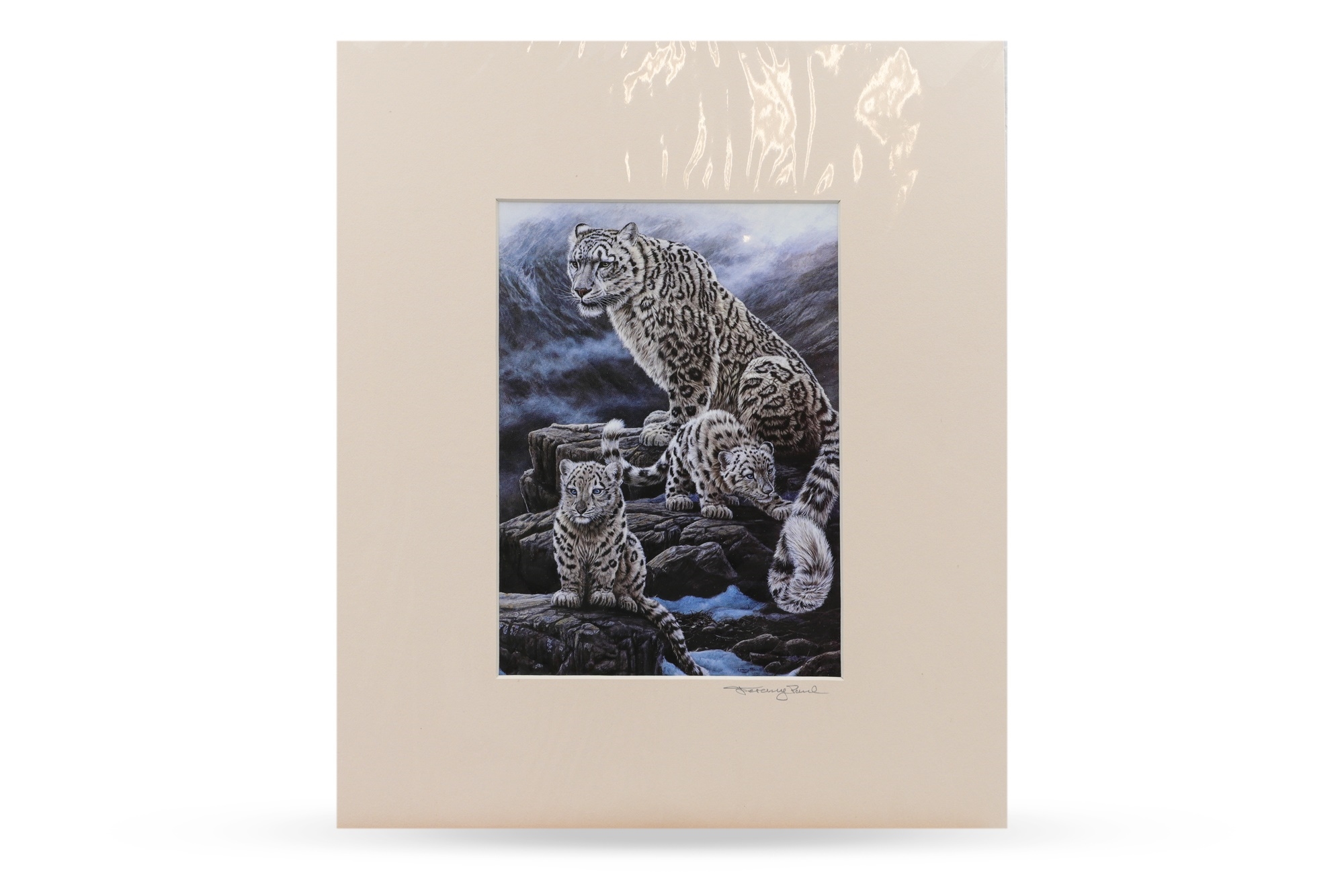 Jeremy Paul | A COLLECTION OF LIMITED EDITION PRINTS FROM JEREMY PAUL ...