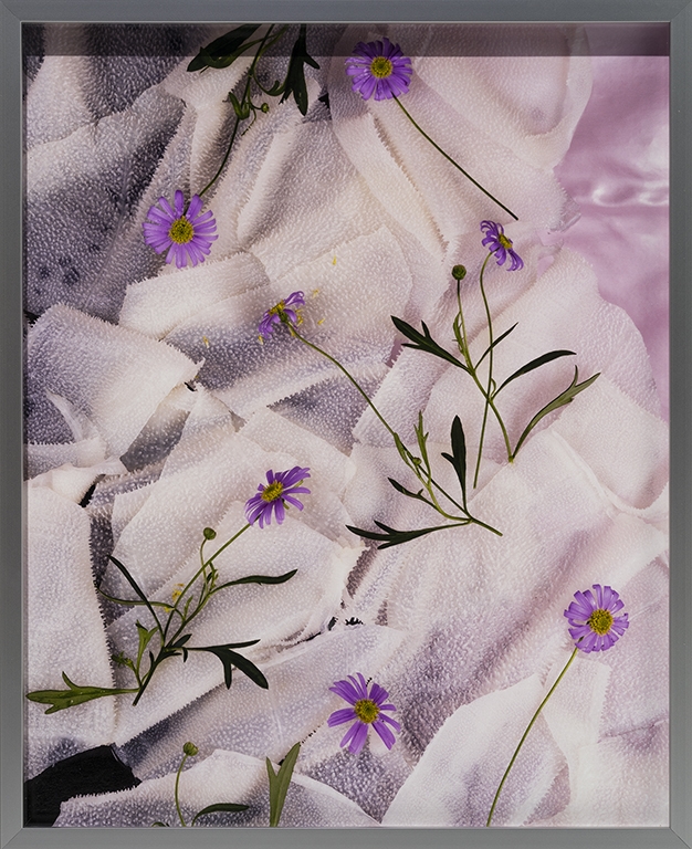 Michelle Bui | Wet Slab, 2019 (2019) | MutualArt