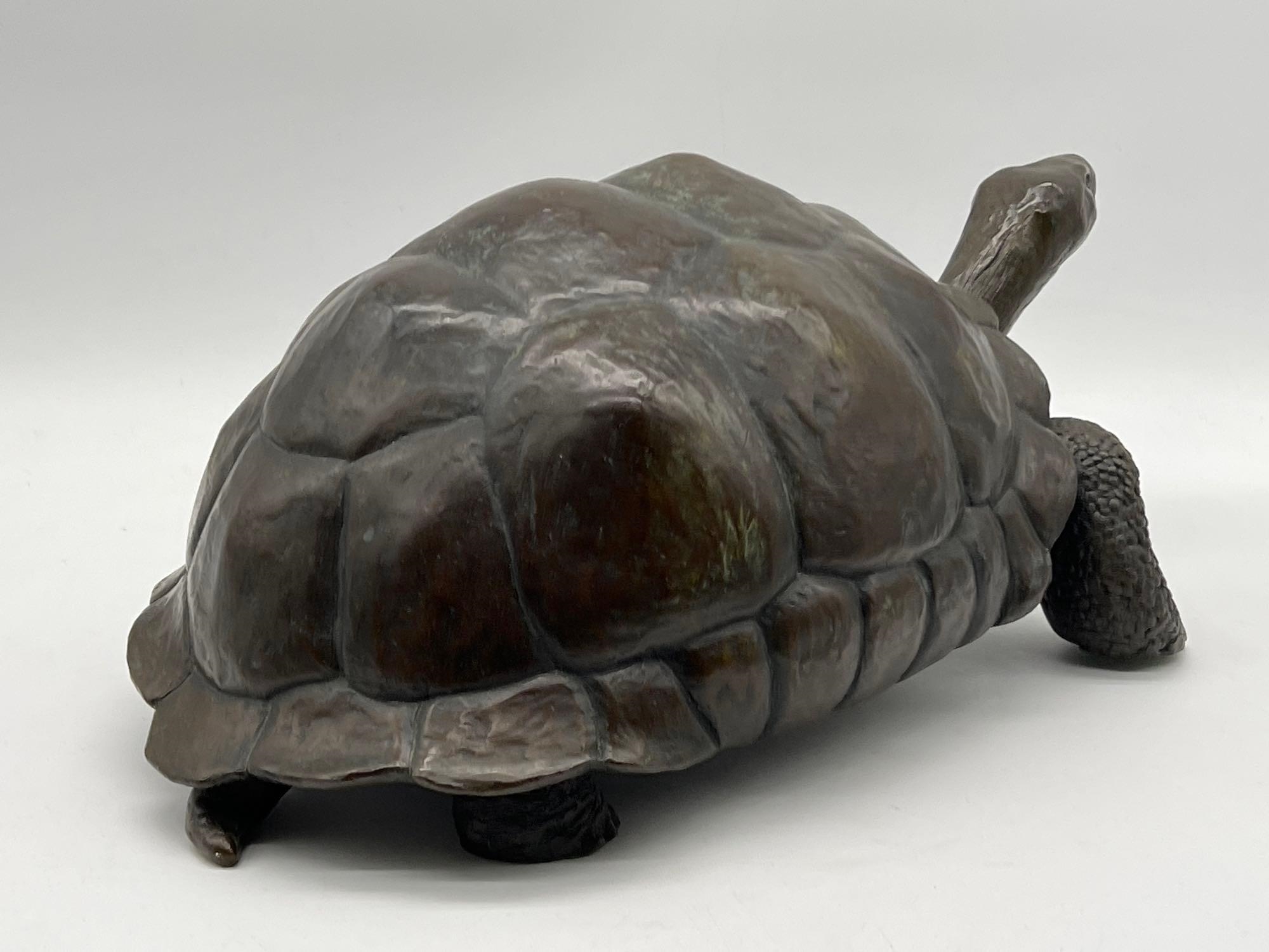 Eric Berg | Sculpture of a Galapagos Turtle | MutualArt