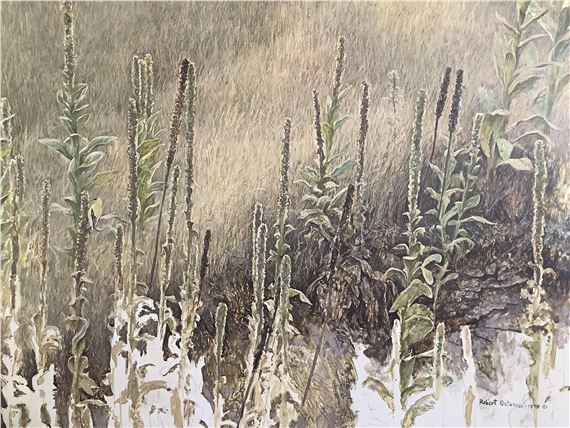 Robert Bateman | Robert Bateman Limited Edition Lithograph | MutualArt