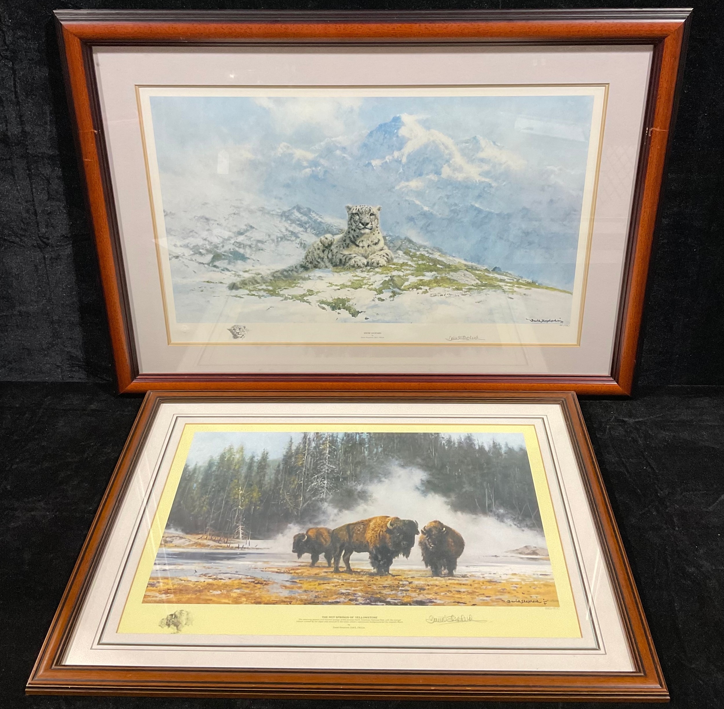 David Shepherd | Snow Leopard, | MutualArt