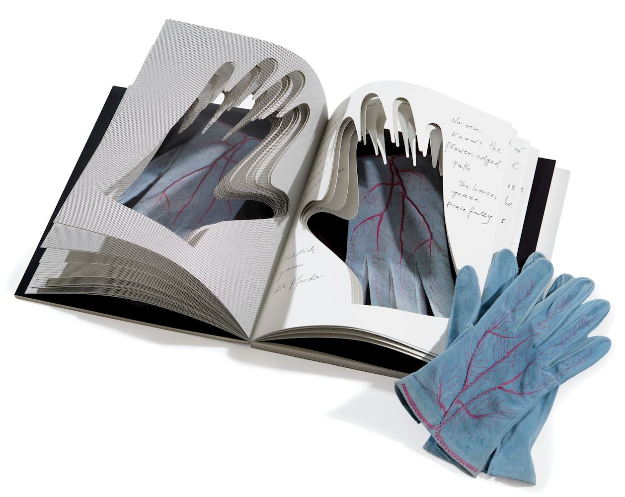 Meret Oppenheim | Glove | MutualArt