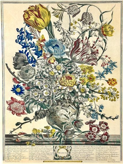 Henry Fletcher | Still Life Engraving by Henry Fletcher | MutualArt