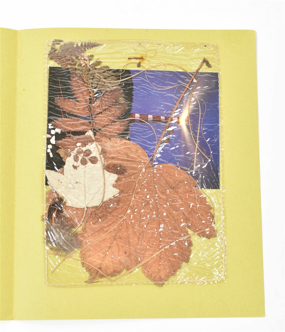 Daan Van Golden | Art Rotterdam, 2001 (2001) | MutualArt